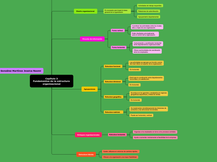 Capítulo 3 Fundamentos de la estructura or...- Mind Map